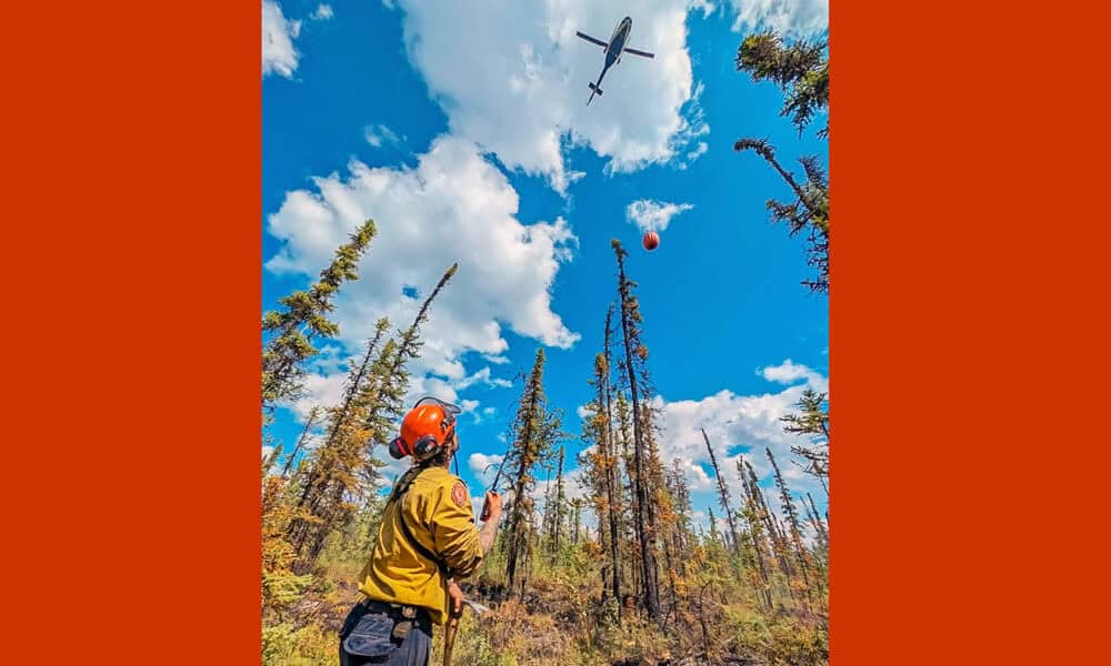 Massive seven-blaze Liard Complex wildfire gets wet over the weekend ...